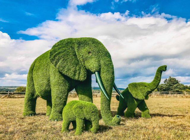 Artificial Grass Animals | Easigrass™