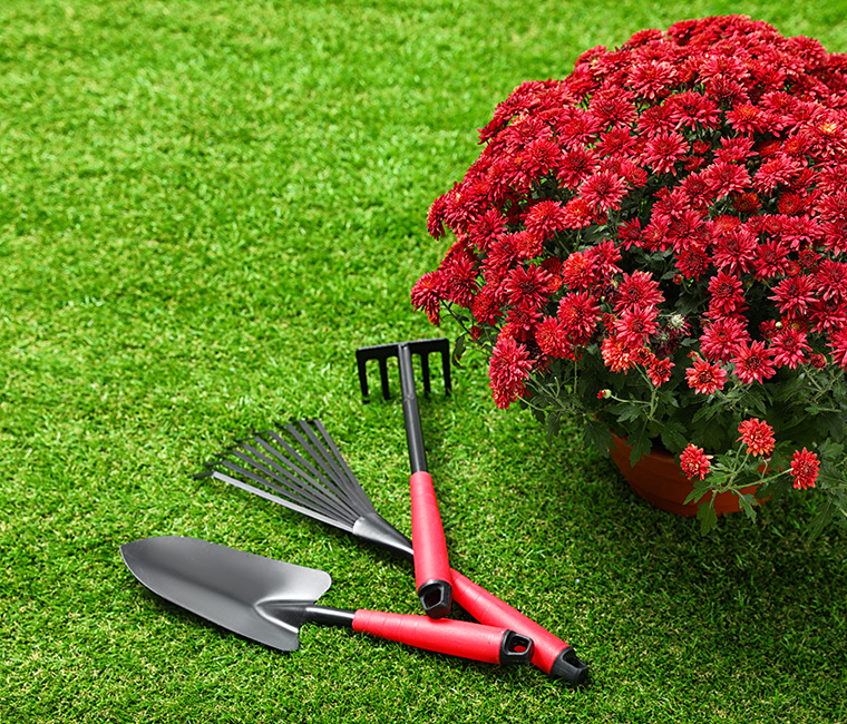 Tips to Get Your Ready for Summer | Easigrass™